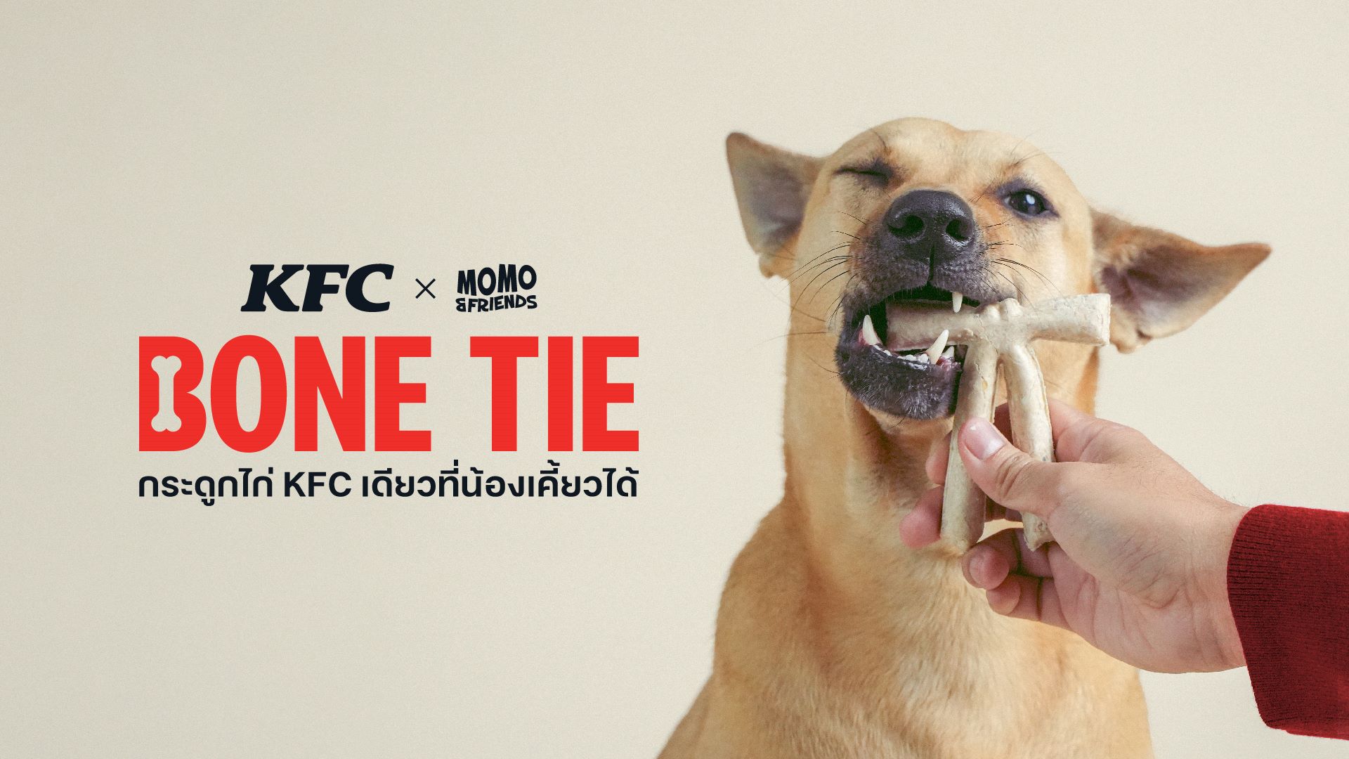 ครั้งแรกของโลก! KFC BONE TIE ขนมขัดฟันแปรรูปจากกระดูกไก่ KFC